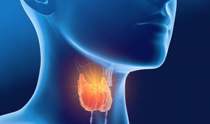 Tiroid nodüllerinde kanser riski çıktı: Bu belirtilere dikkat - Sağlık ...